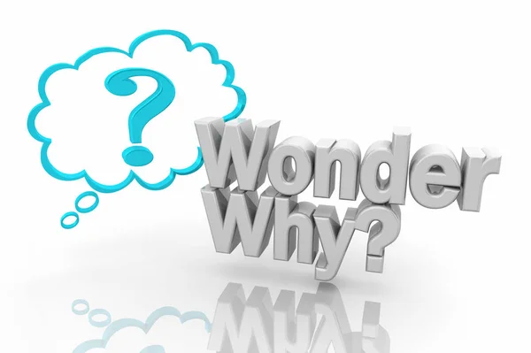 Why Word 3D Letters Question Mark — Stock Photo © iqoncept #25225491