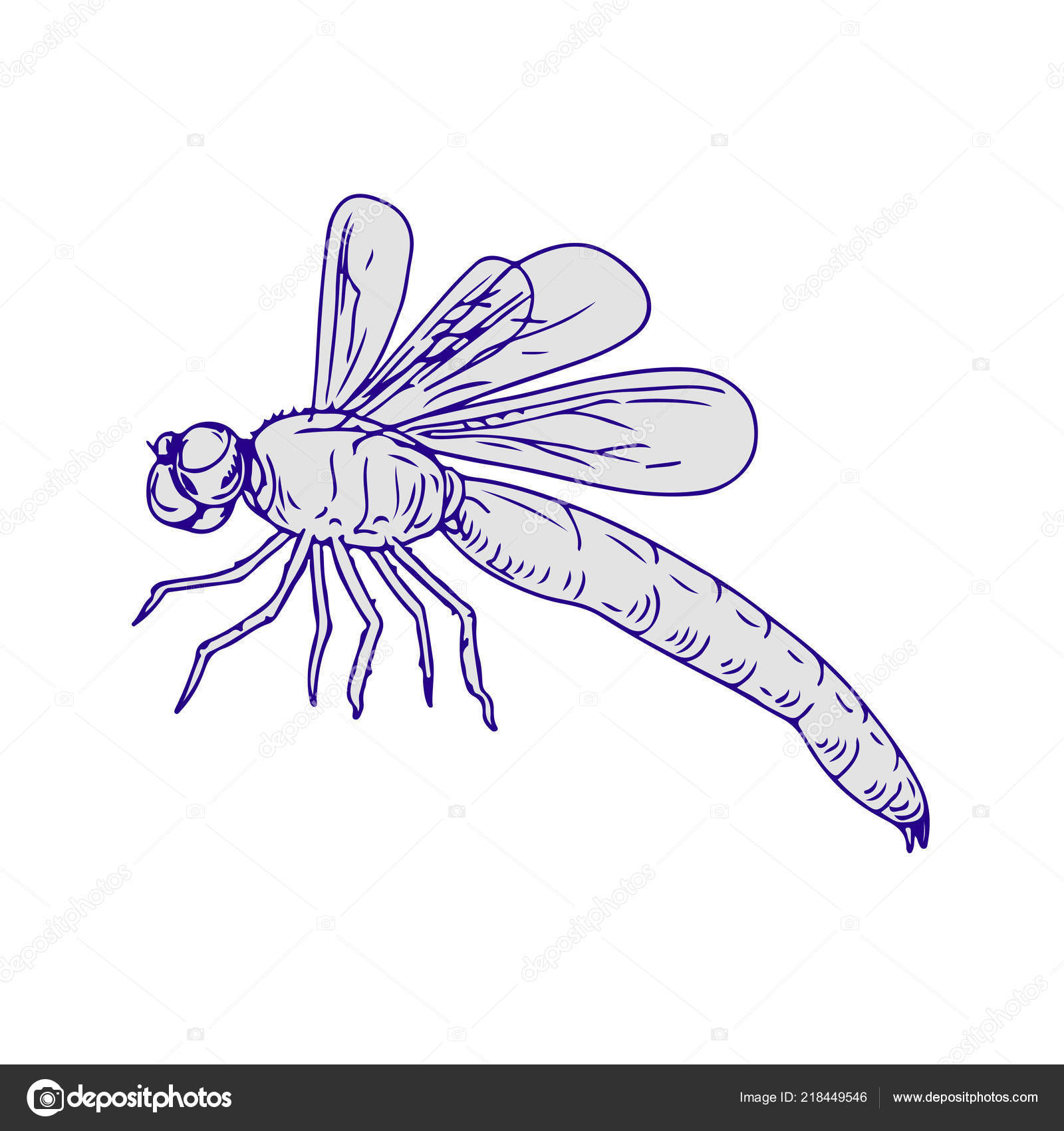 Drawing Sketch Style Illustration Dragonfly Flapping Wings Side View ...