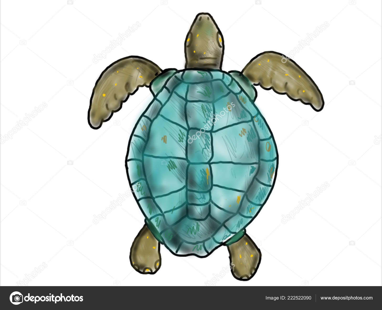 Animation Motion Graphics Showing Drawing Ridley Sea Turtle Swimming ...