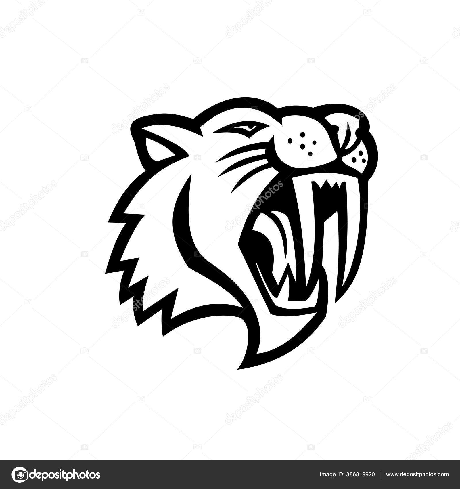 Saber Tooth Cat Drawing