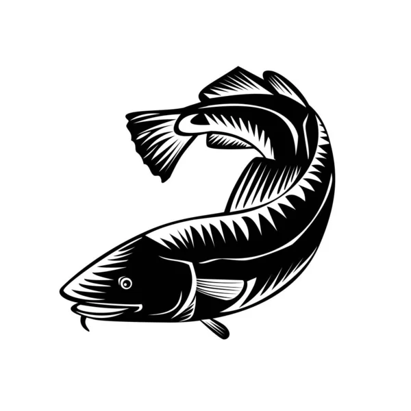 21 Gadidae fish Vector Images | Depositphotos