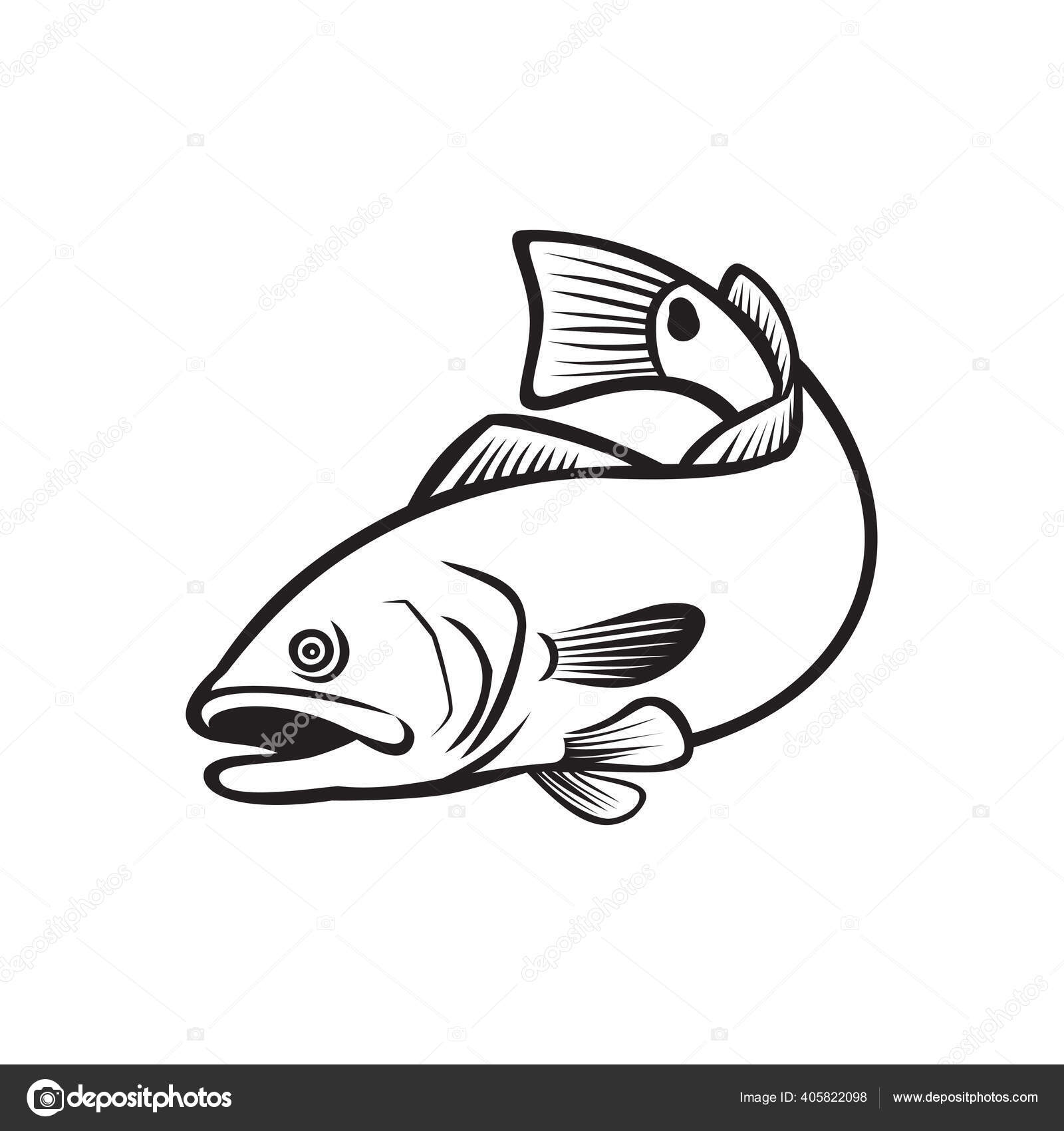 Redfish Skeleton Drawing