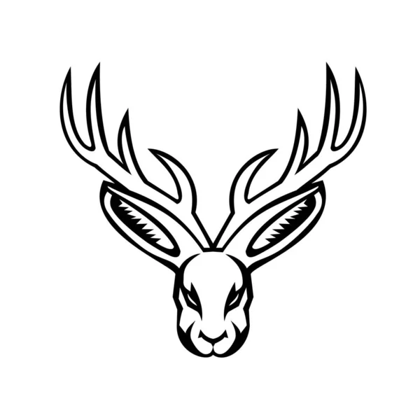 Jackalope Line Drawing