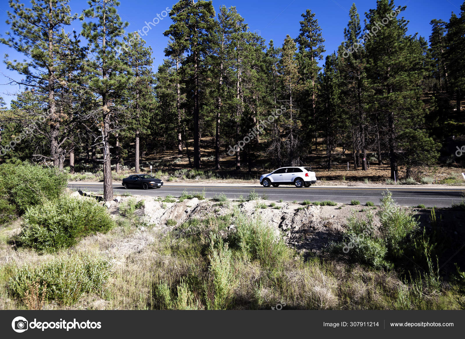 Two Cars On Rural Two Lane Highway With Pine Trees Stock Photo by ...