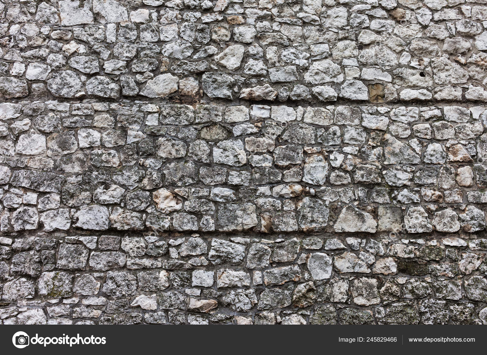 Castle Wall Backdrop