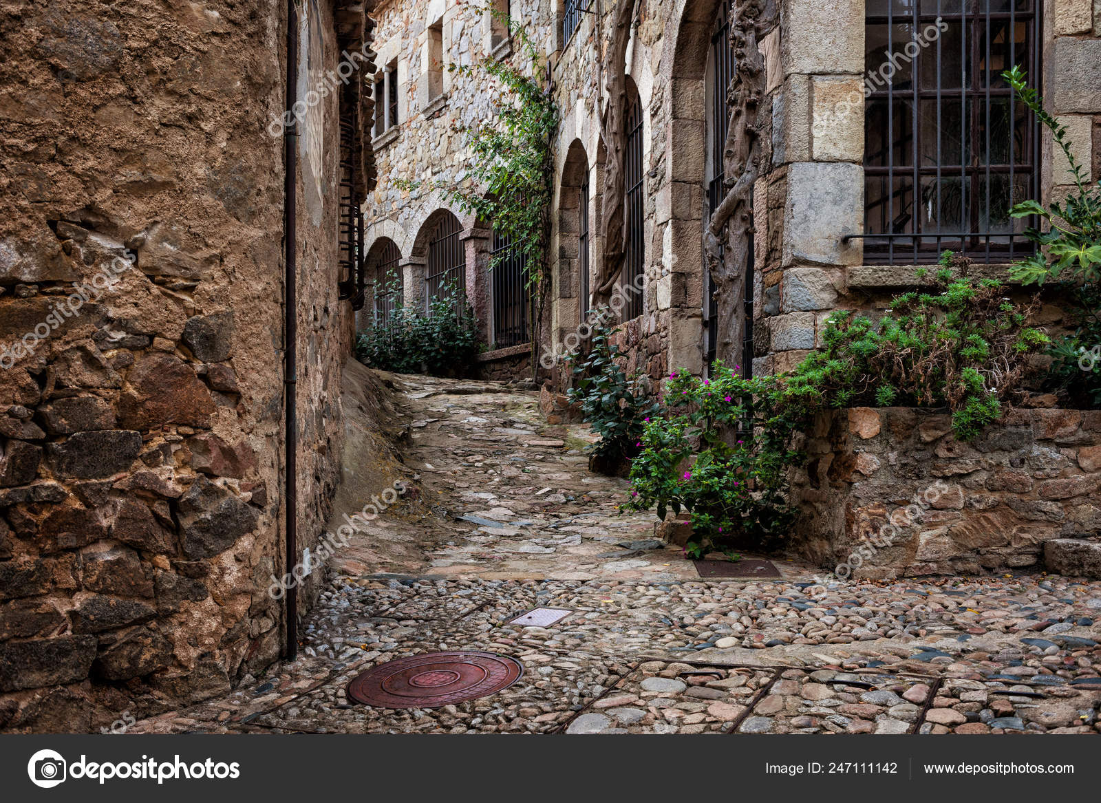 Ancient Cobblestone Street