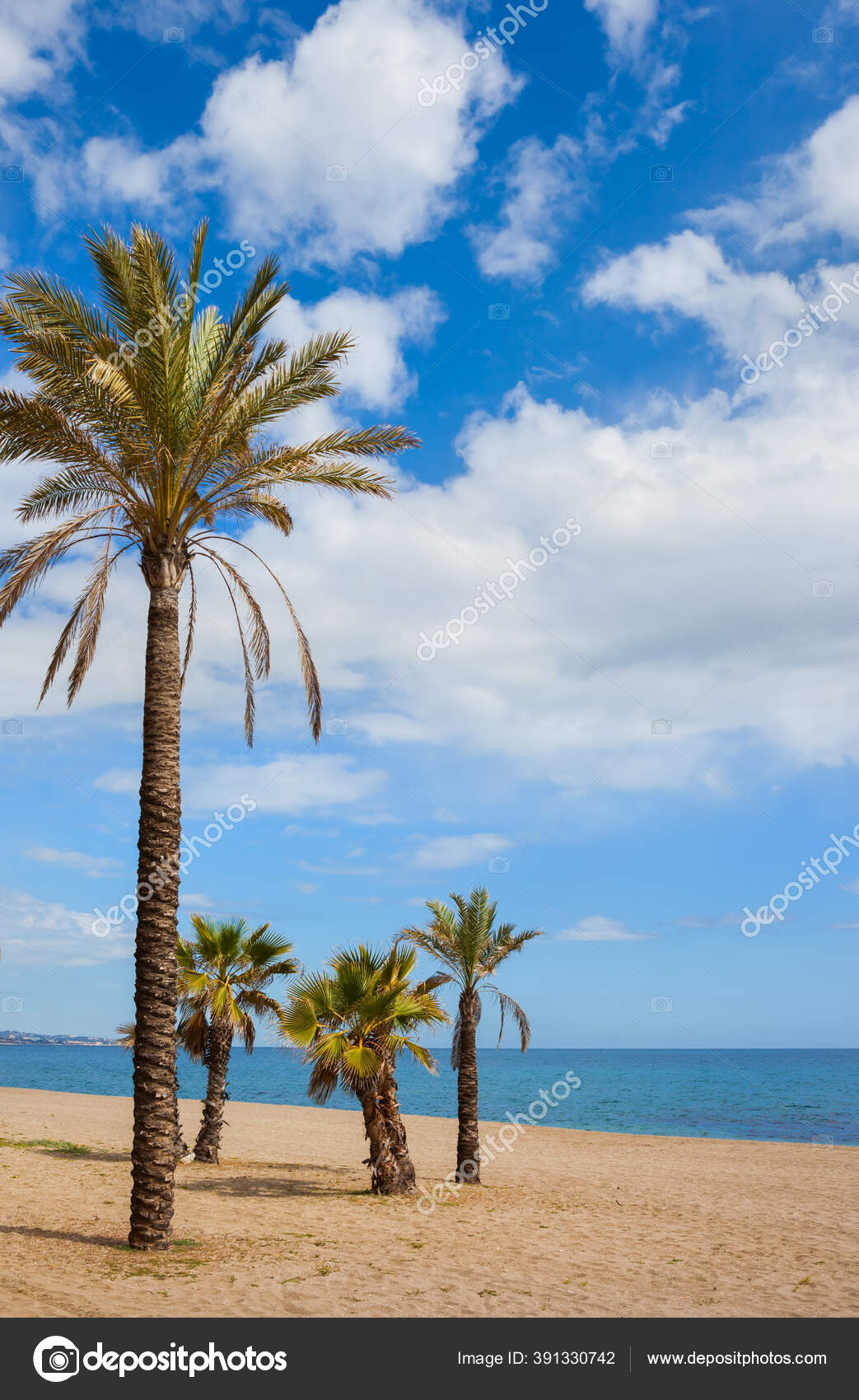 Empty Sandy Beach Palm Trees Sea Costa Del Sol Marbella Stock Photo by ...