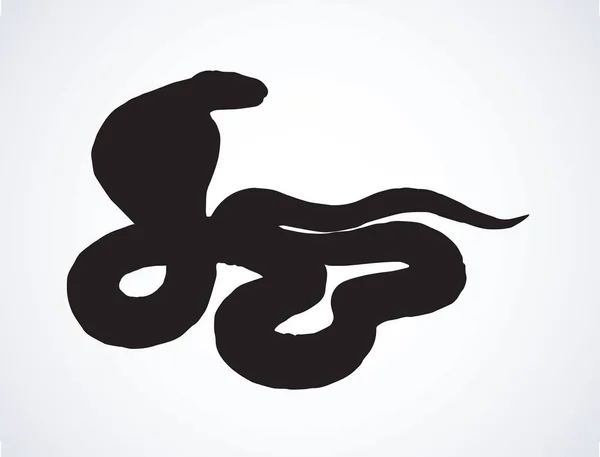 Coiled snake logo Vector Art Stock Images | Depositphotos