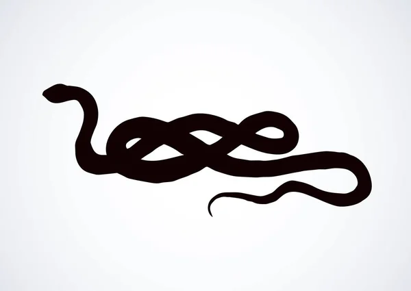 Coiled snake logo Vector Art Stock Images | Depositphotos