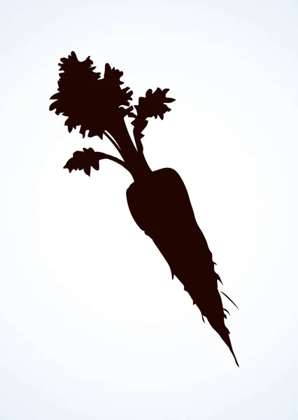 Taproot Stock Vectors, Royalty Free Taproot Illustrations | Depositphotos