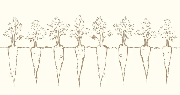Taproot Stock Vectors, Royalty Free Taproot Illustrations | Depositphotos