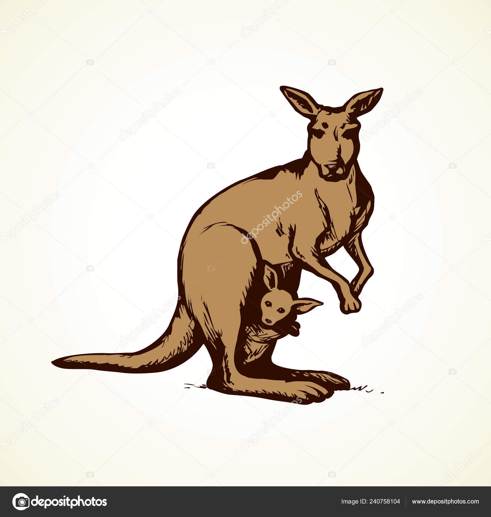 Wallaroo Cão Fêmea Peludo Fundo Branco Tinta Preta Linear Mão Vetor de ...