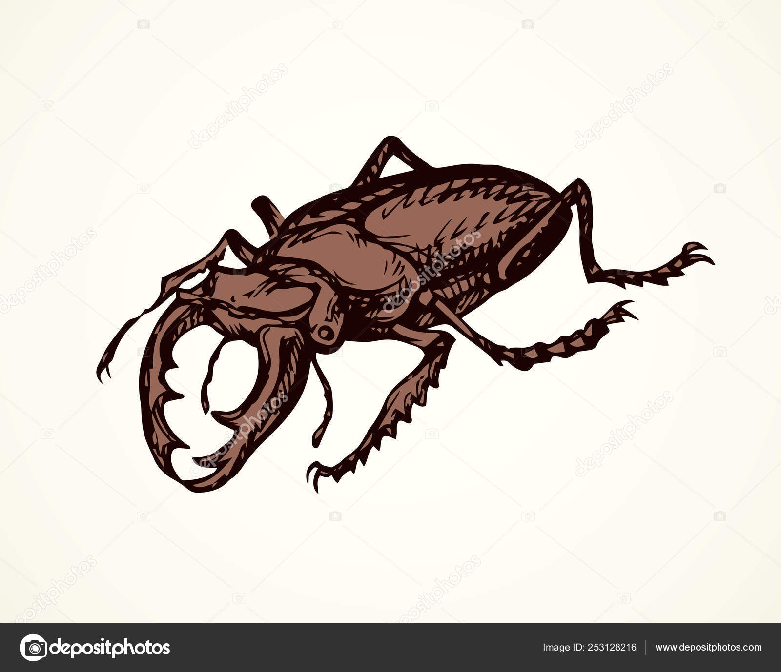Lucanus cervus. Vector drawing Stock Vector Image by ©Marinka #253128216