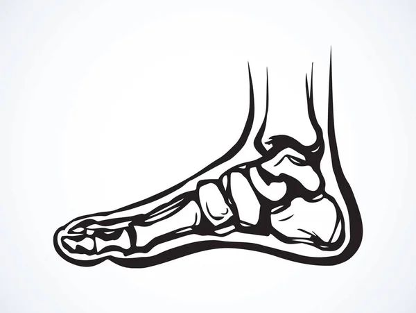 Left Foot Outline Side View