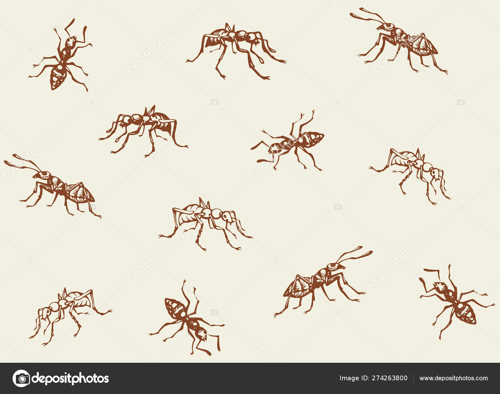 Ant. Vector drawing Stock Vector by ©Marinka 274263800
