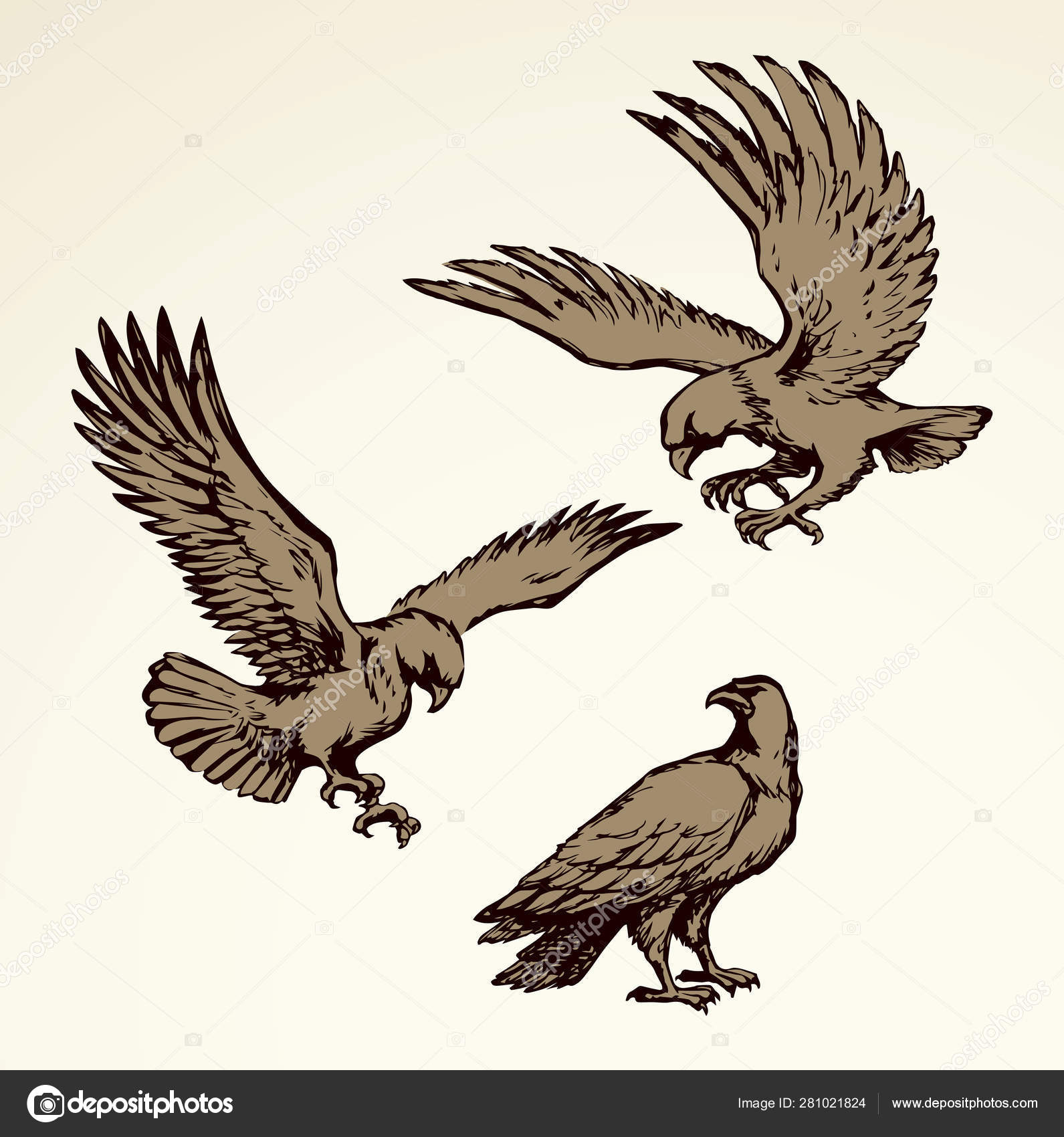 Eagle. Vector drawing Stock Vector Image by ©Marinka #281021824
