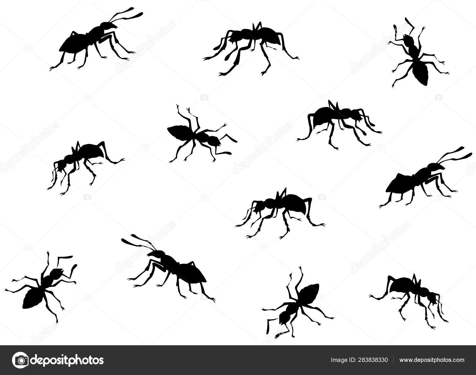 Hormiga. Dibujo vectorial Vector de Stock de ©Marinka 283838330