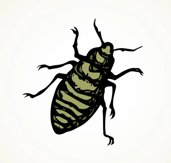 Beetle. Larva. Vector drawing Stock Vector by ©Marinka 277887910