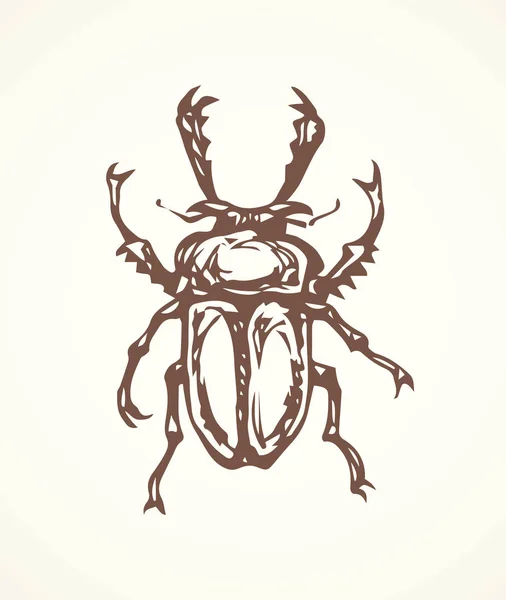 Lucanus cervus. Vector drawing Stock Vector Image by ©Marinka #253128216