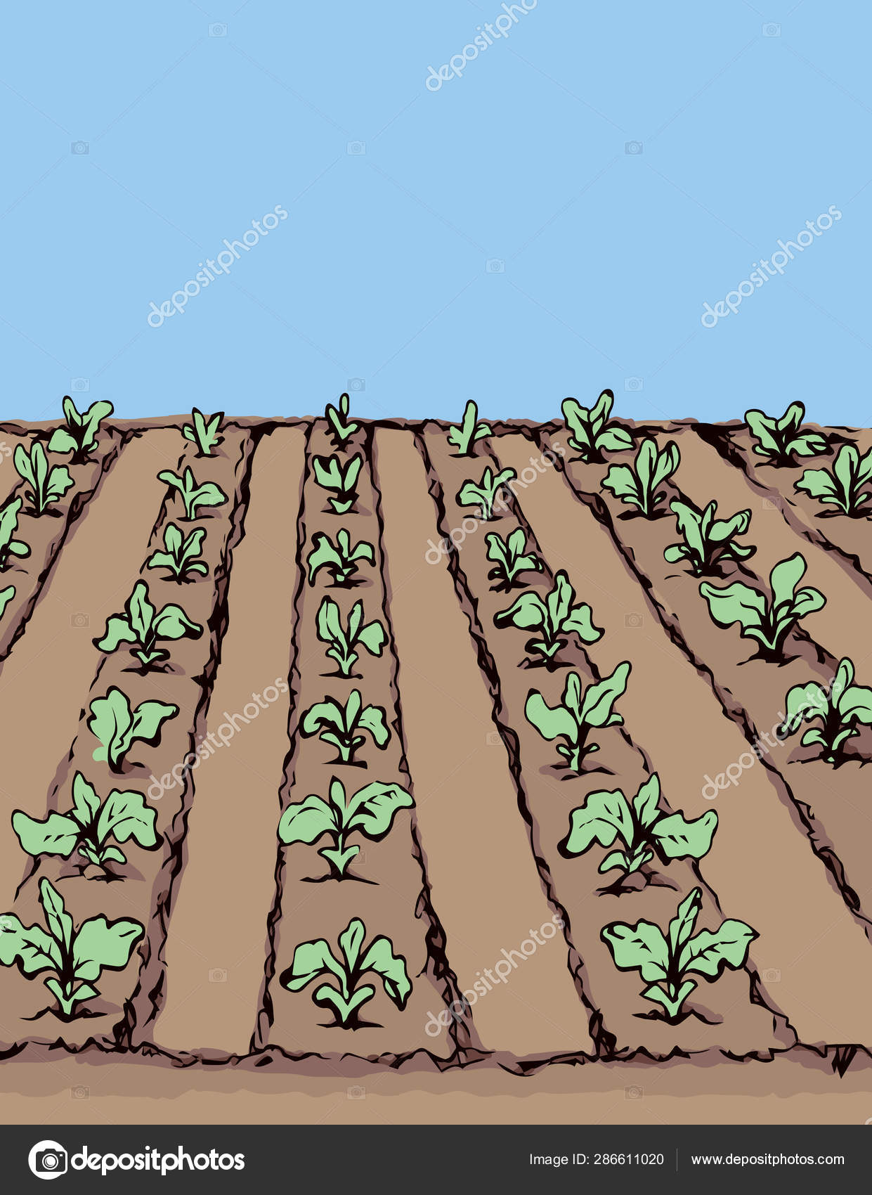 Garden Furrow