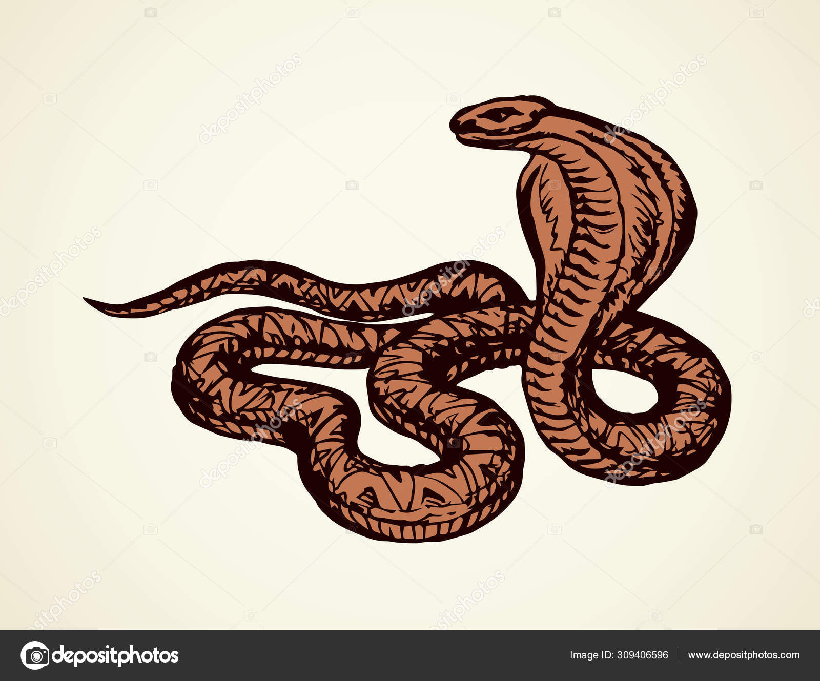 Snake. Vector drawing Stock Illustration by ©Marinka #309406596