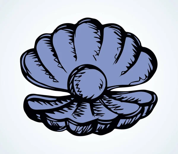 Pecten shell Vector Art Stock Images | Depositphotos