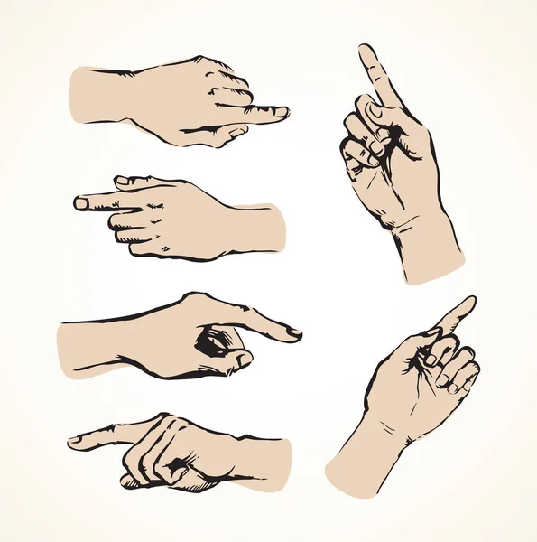 Set of several hands Stock Vector Image by ©ddraw #58157781