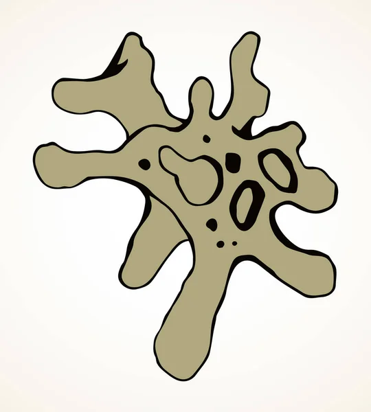 Amoeba proteus Vector Art Stock Images | Depositphotos