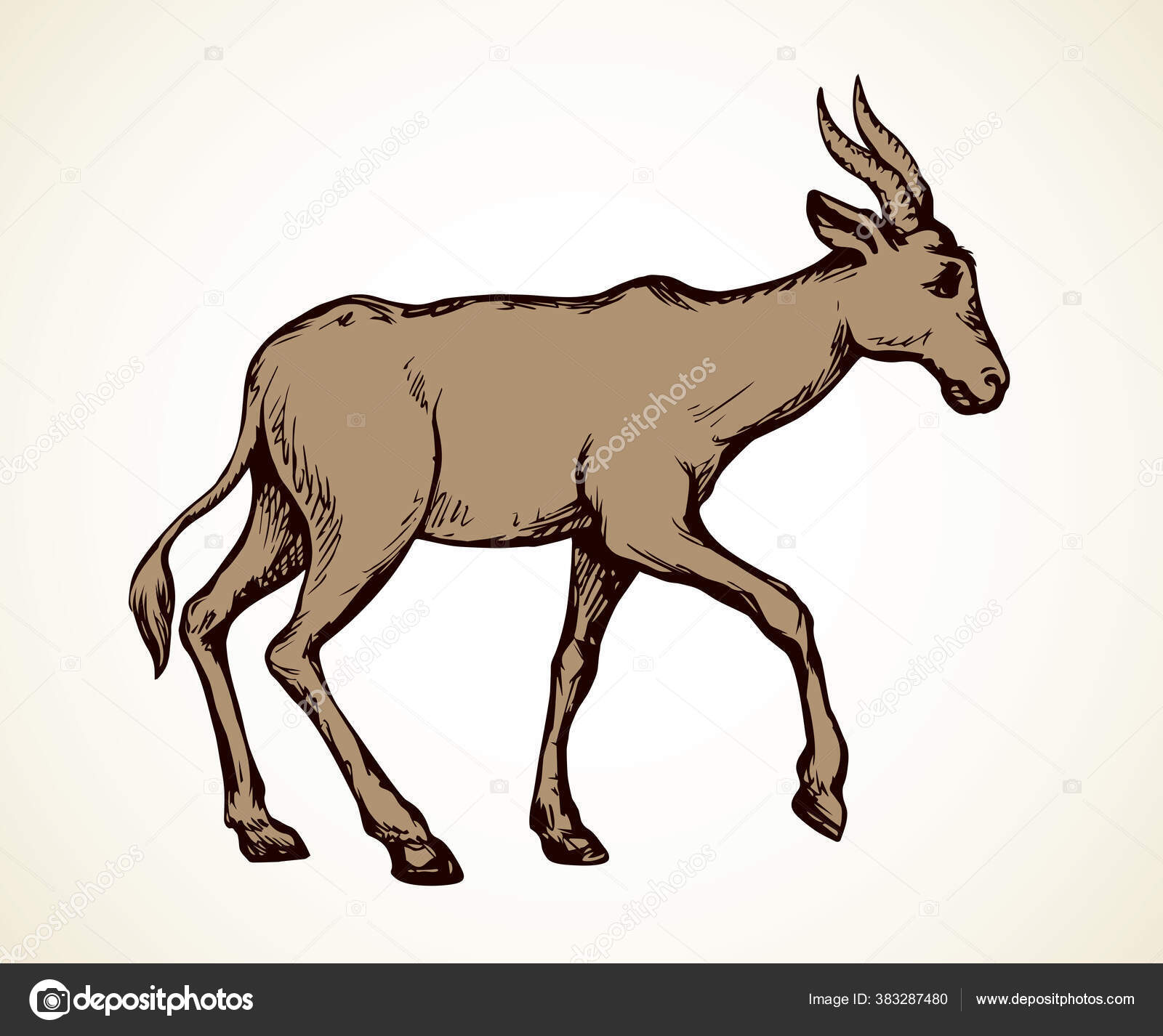 Cute Blackbuck Sheep Hind Standing Light Sky Backdrop Bright Beige ...