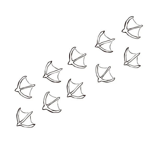 Duck Tracks Clip Art