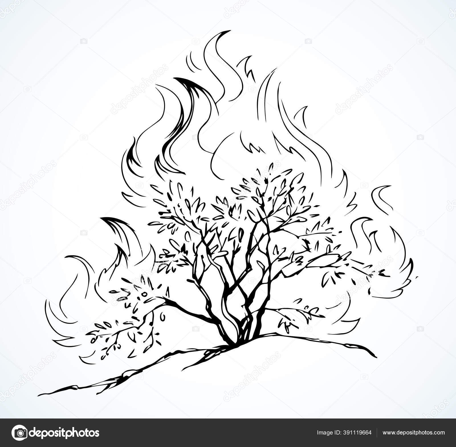 Closeup Old Holy Bright Fiery Hot Ash Branch Hazard Scene Stock Vector ...