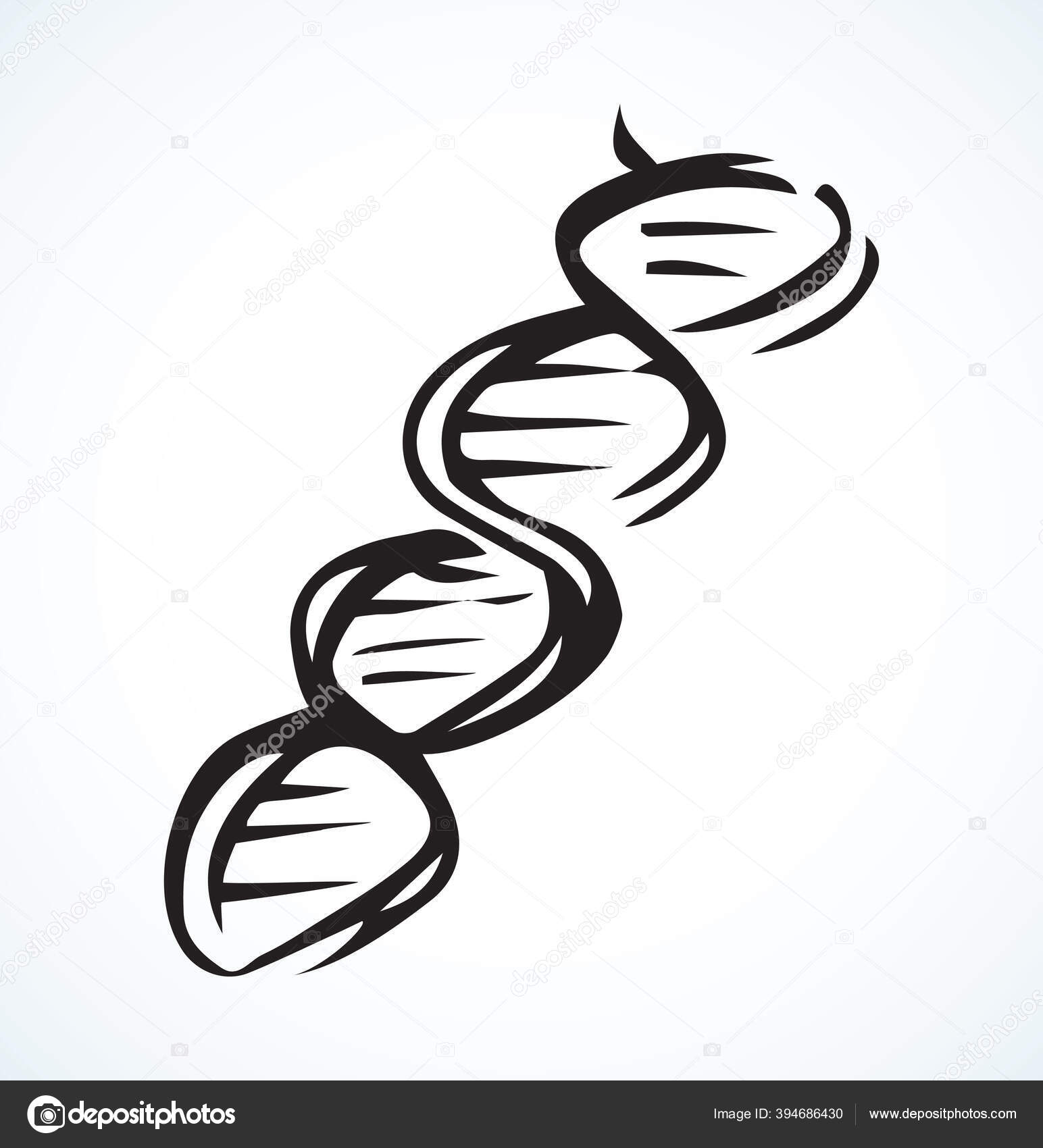Simple Dna Strand Black And White