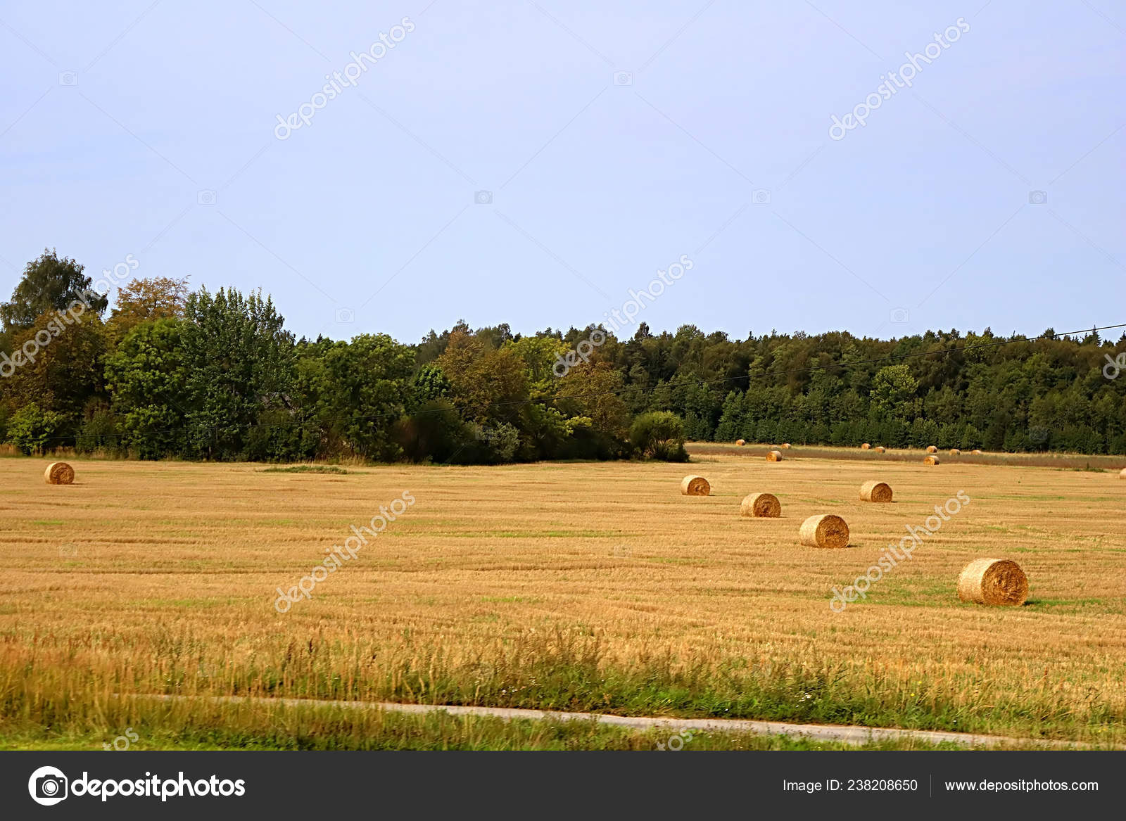 Stacks Straw Bales Hay Rolled Stacks Left Harvesting Wheat Ears — Stock ...