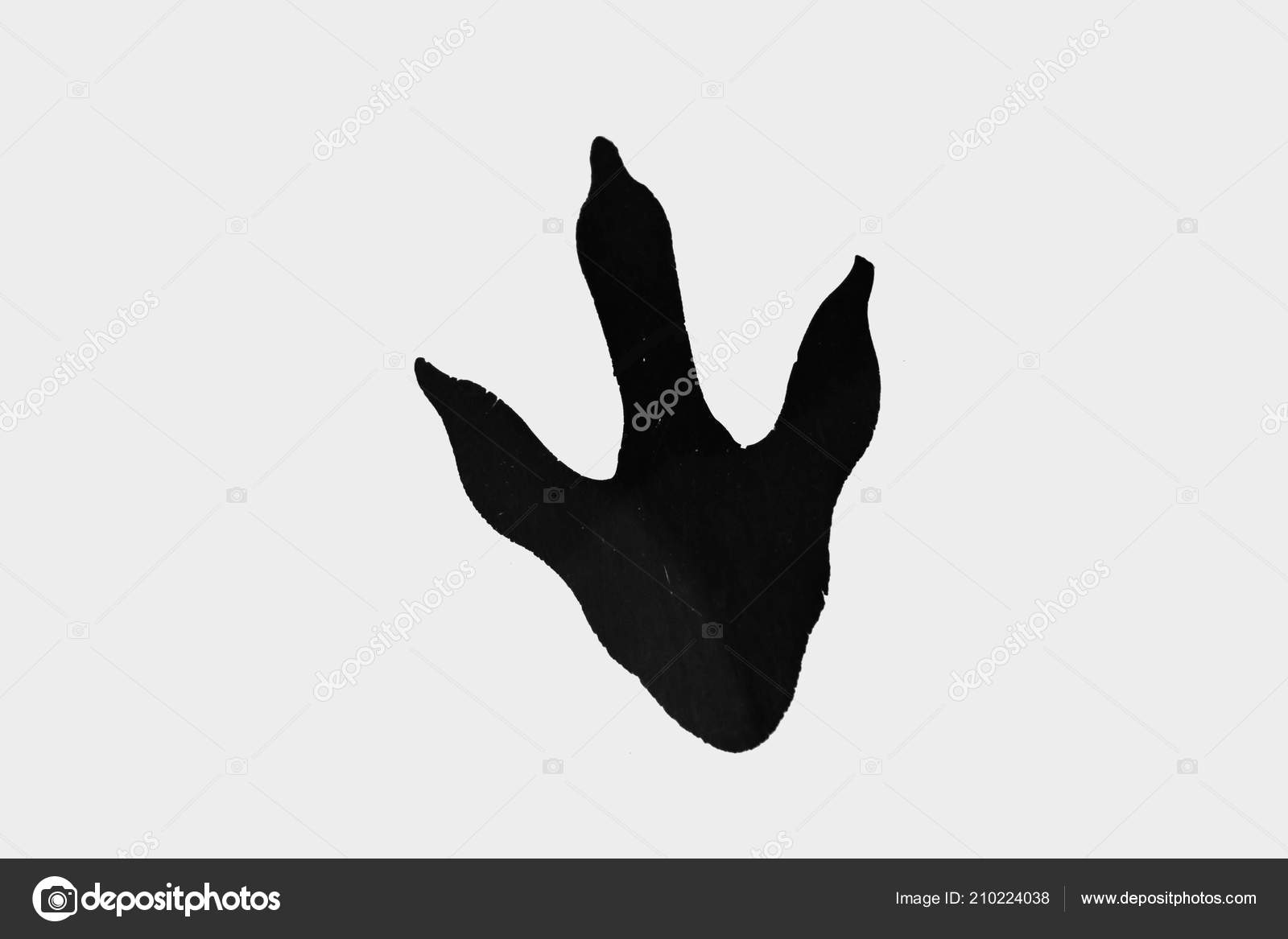 T Rex Dinosaur Footprints