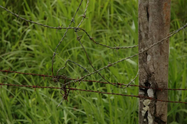 Rural wire fence Stock Photos, Royalty Free Rural wire fence Images ...