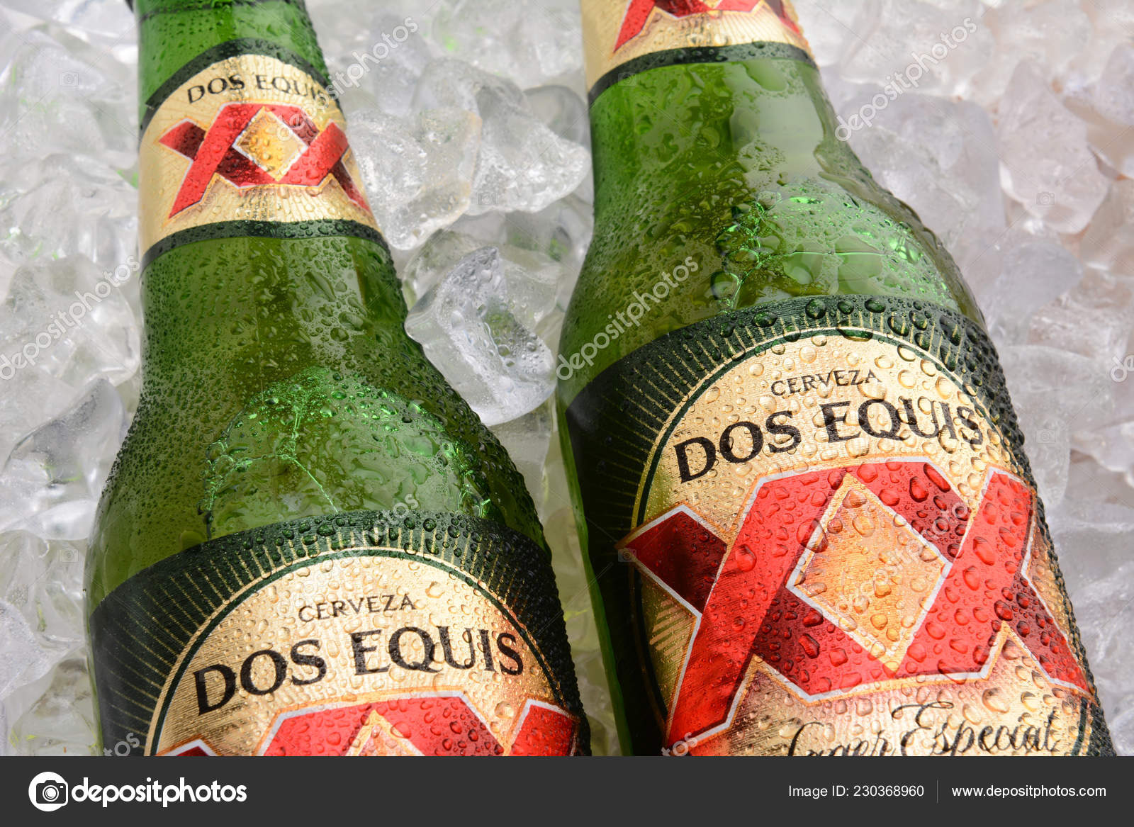Dos Equis Bottle