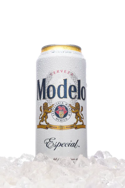 Modelo beer Stock Photos, Royalty Free Modelo beer Images | Depositphotos