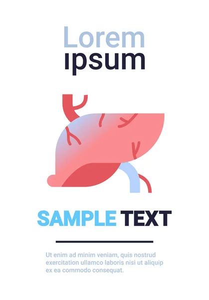 77 Hepar Vector Images | Depositphotos