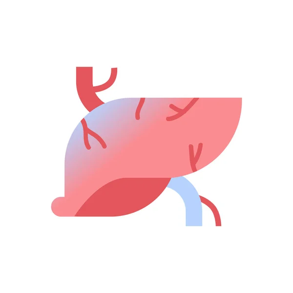 77 Hepar Vector Images | Depositphotos