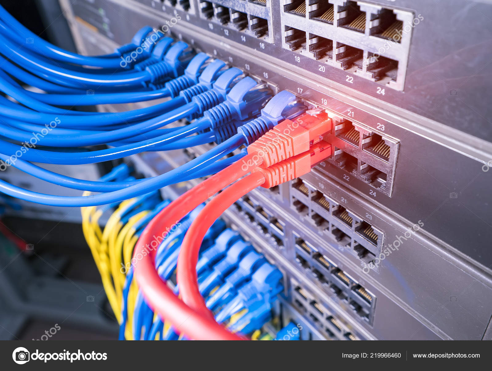 Ethernet Cable Network Switches Background Stock Photo by ©firefox ...