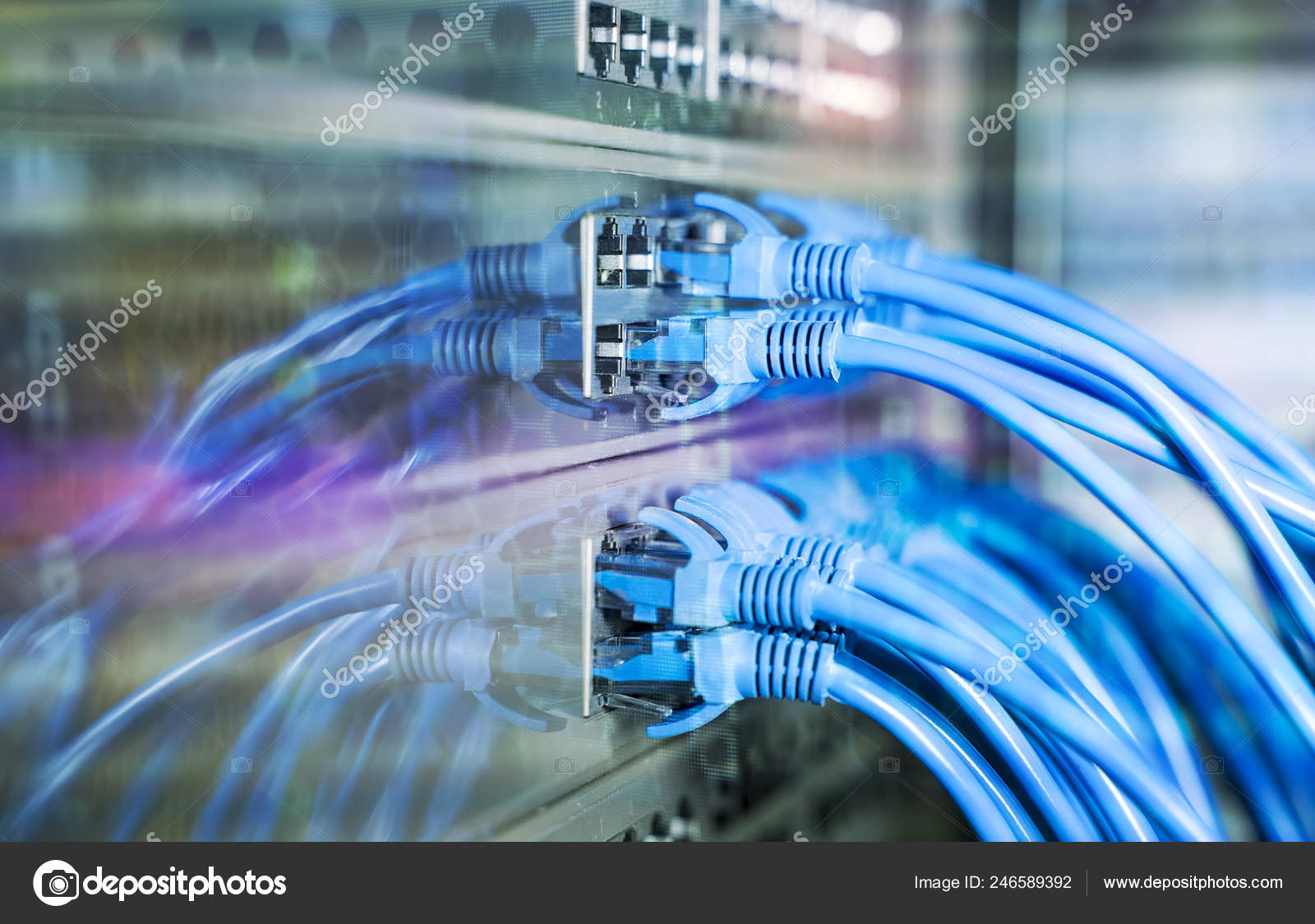 Network Switch Ethernet Cables Data Center Concept — Stock Photo © firefox #246589392