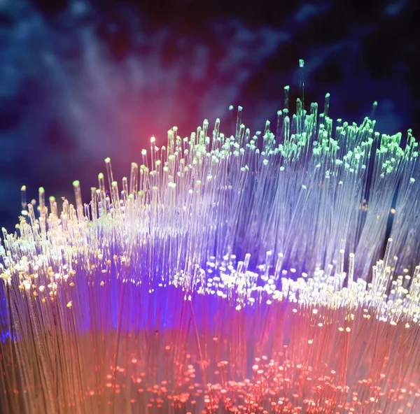 fiber optical network cable - Stock Image - Everypixel