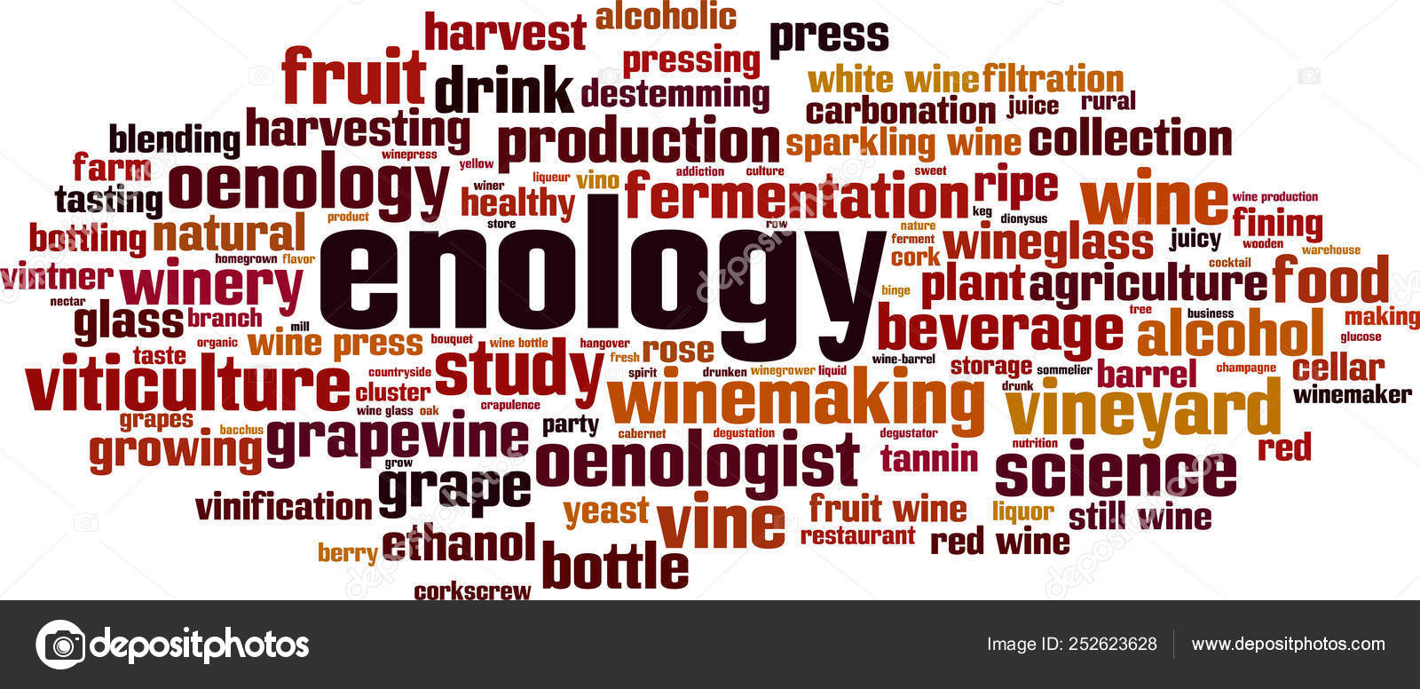 Enology Word Cloud Concept Collage Made Words Enology Vector ...