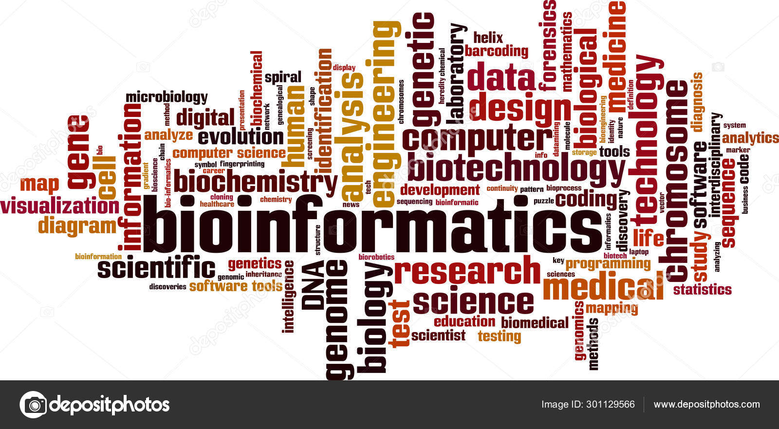 Bioinformática Palabra Nube Concepto Collage Hecho Palabras Sobre ...