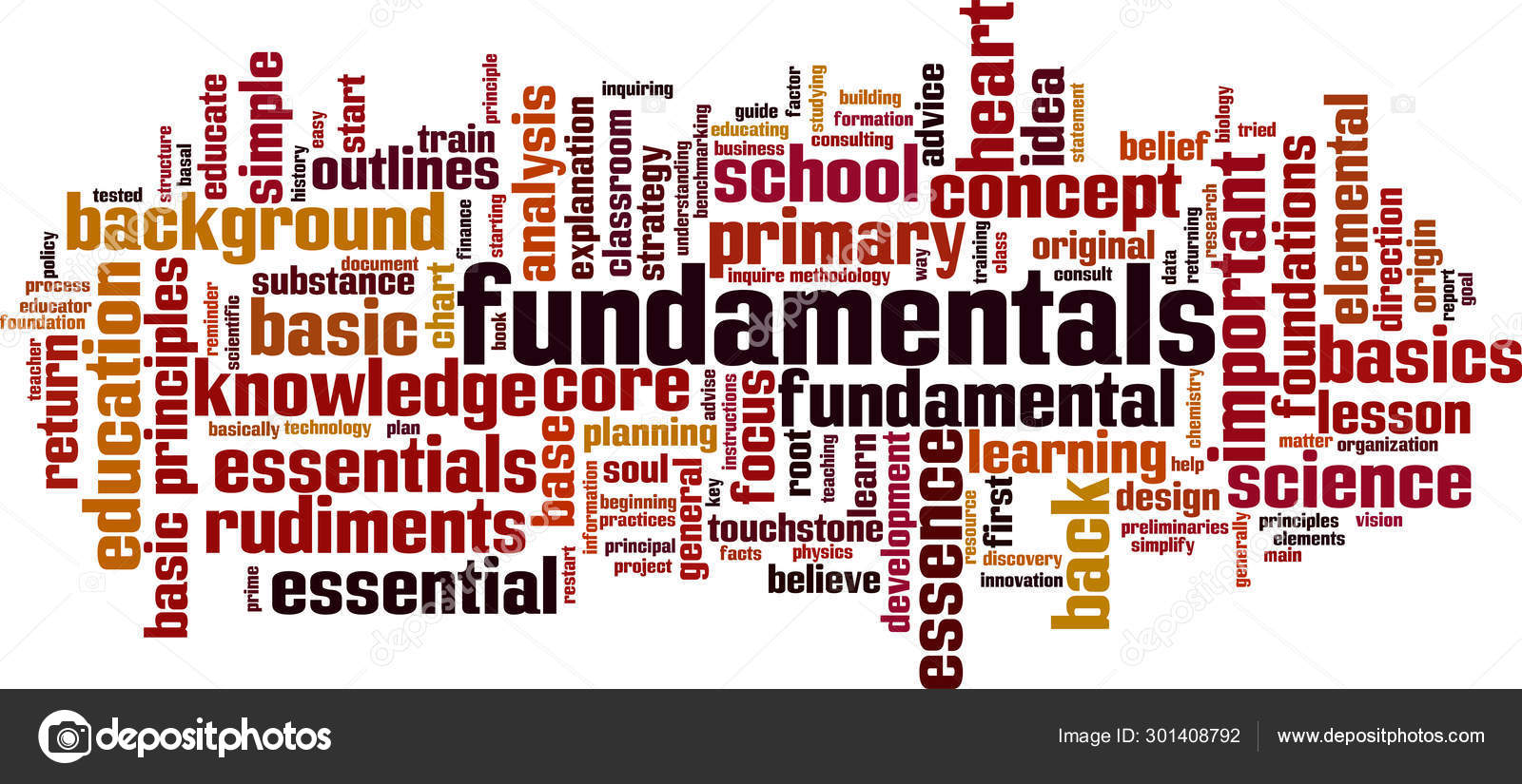 Fundamentals Word Cloud Concept Collage Made Words Fundamentals Vector ...