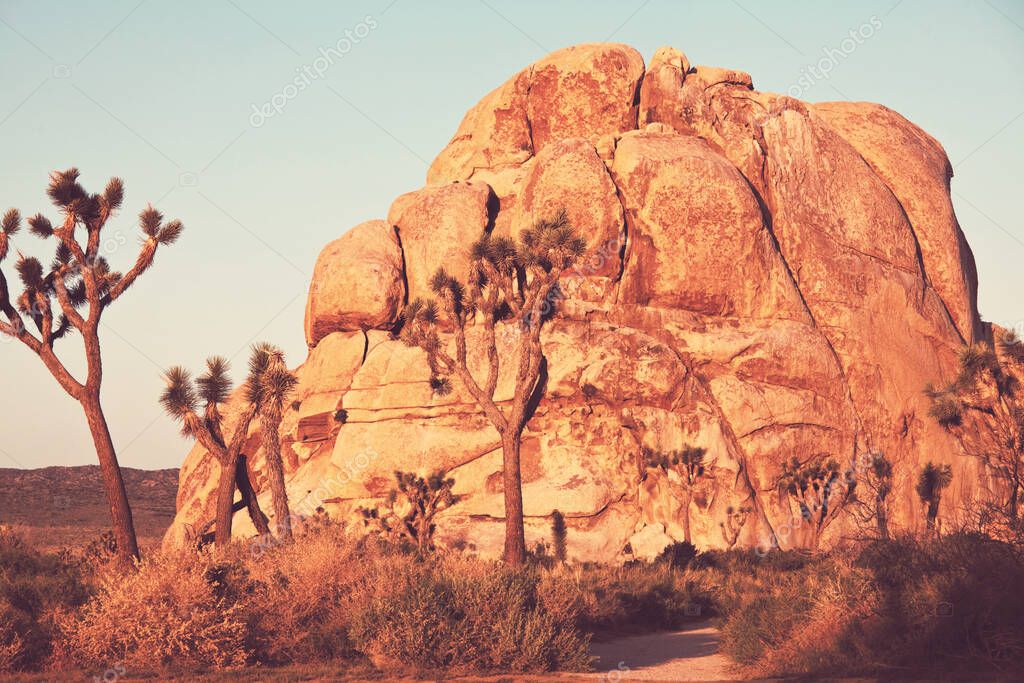 Parque Nacional Joseph Tree paisajes 2022