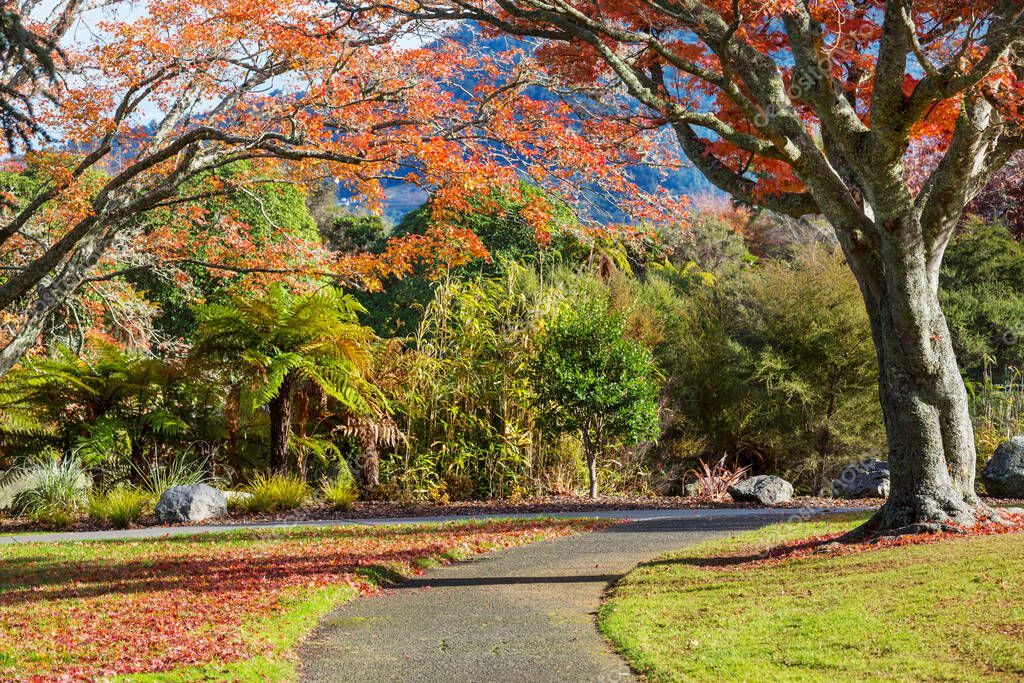 hermosos árboles coloridos y estanque en el parque de otoño, Nueva ...
