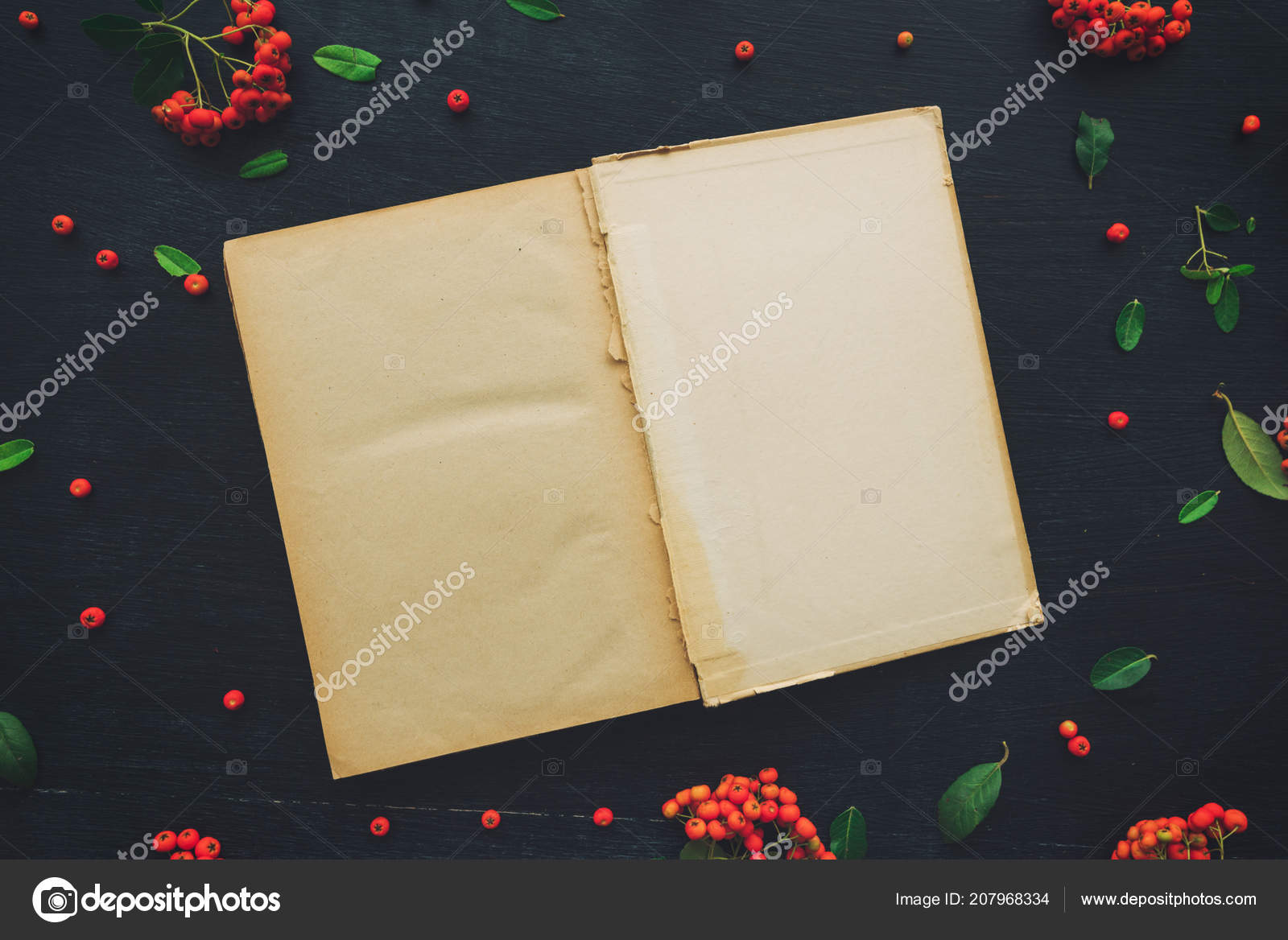 Vintage Open Book Flat Lay Mock Copy Space Dark Black Stock Photo by ...