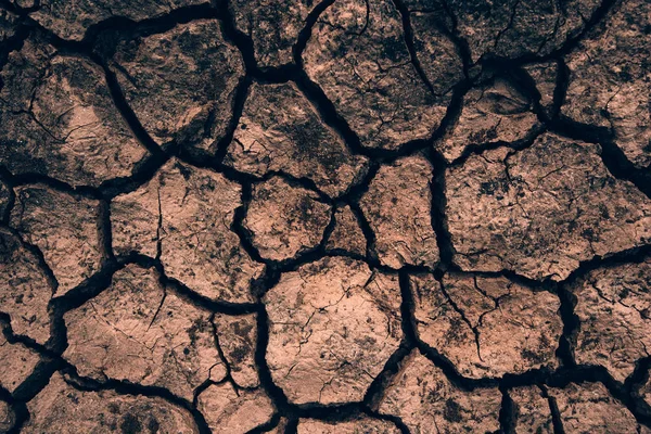 Dry terrain texture Pictures, Dry terrain texture Stock Photos & Images ...