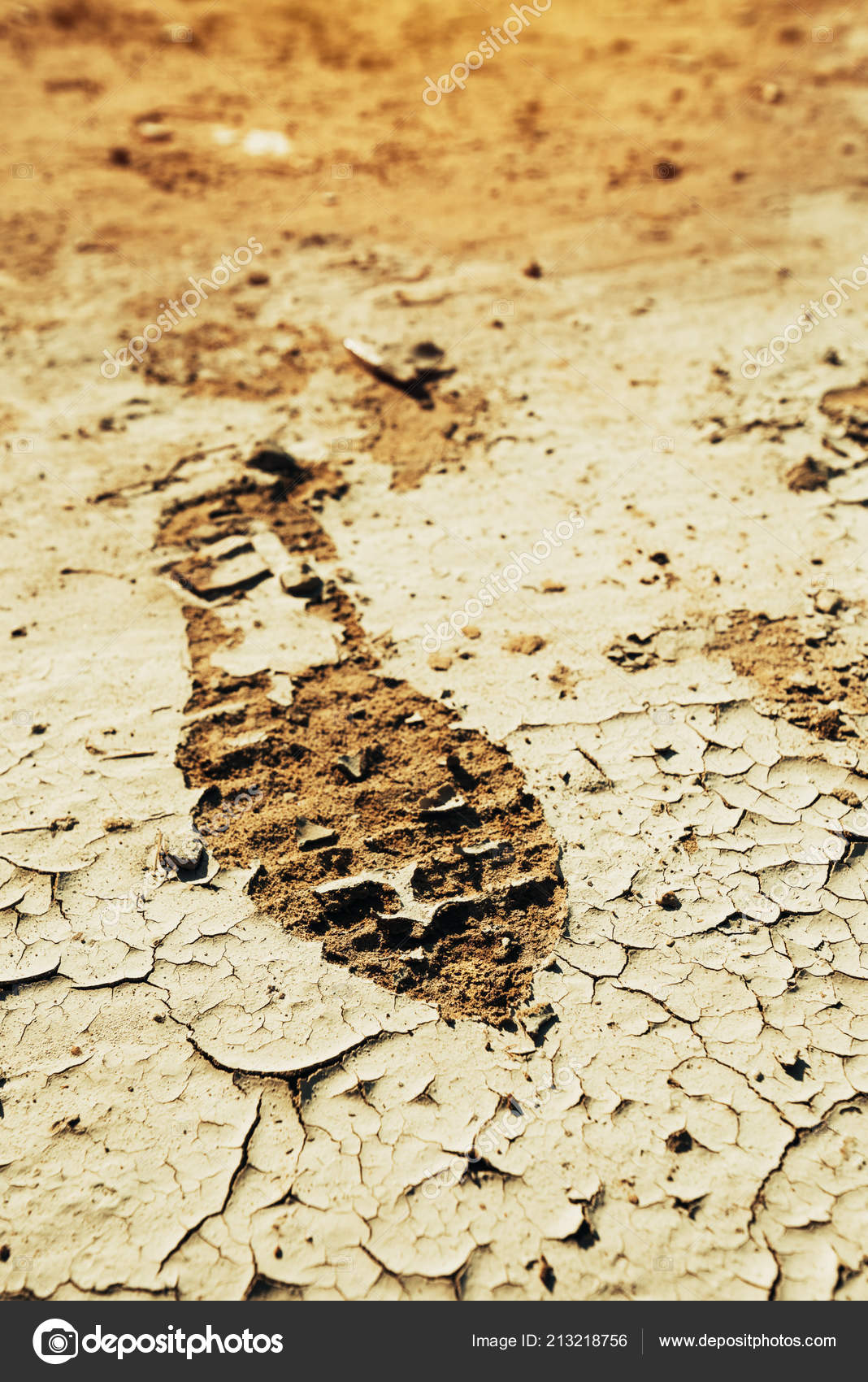 Shoe Print In Mud